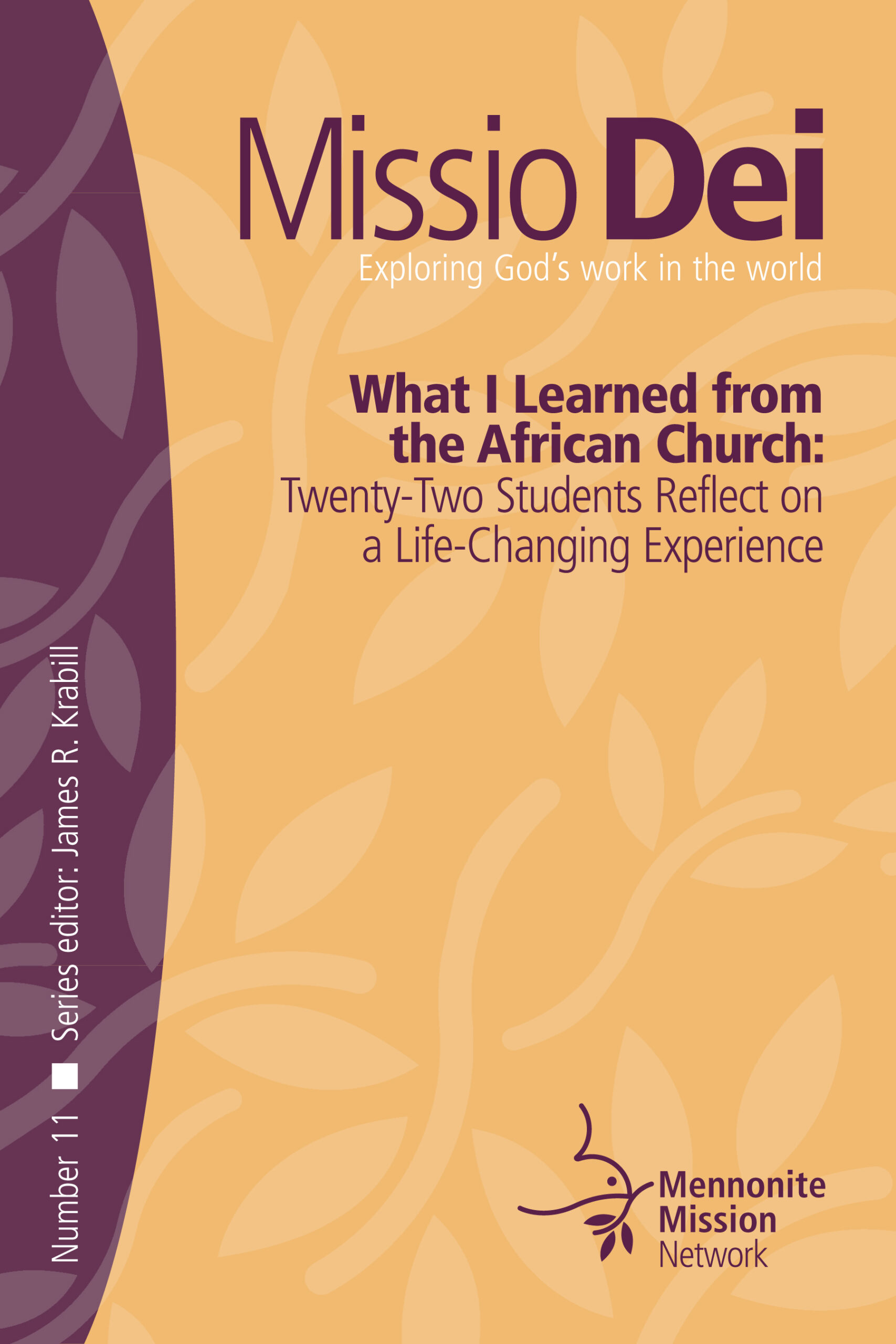 What I Learned from the African Church - Mennonite Mission Network