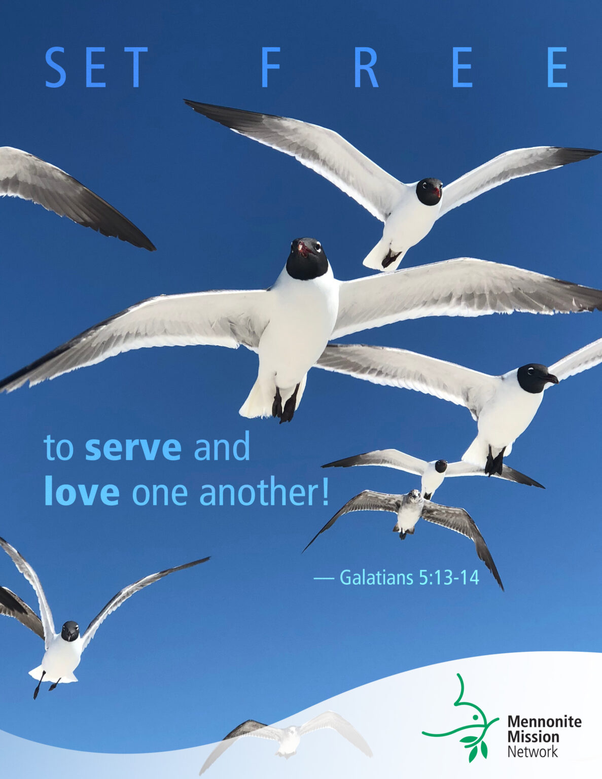 Freedom to serve and love - Mennonite Mission Network
