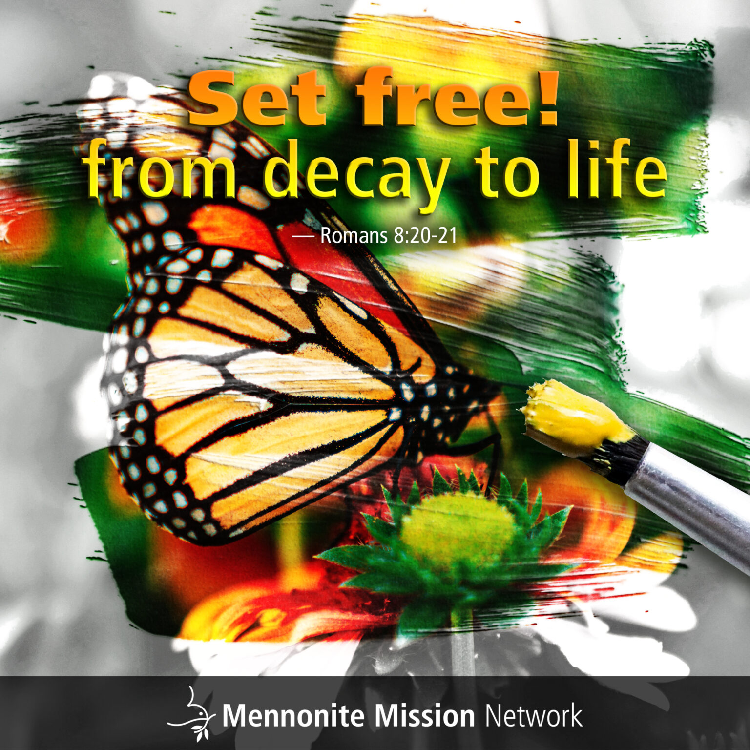 Creation will be set free - Mennonite Mission Network