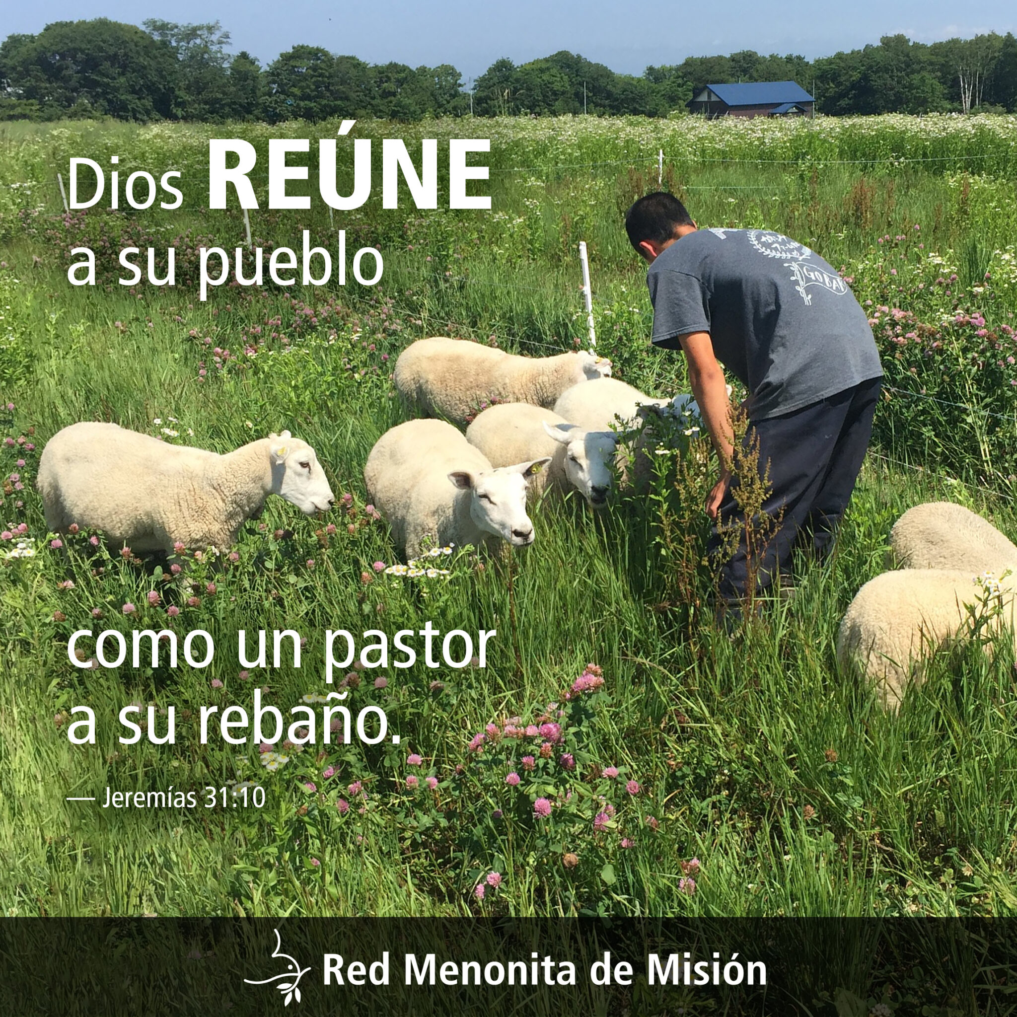 Dios reúne a su pueblo - Mennonite Mission Network