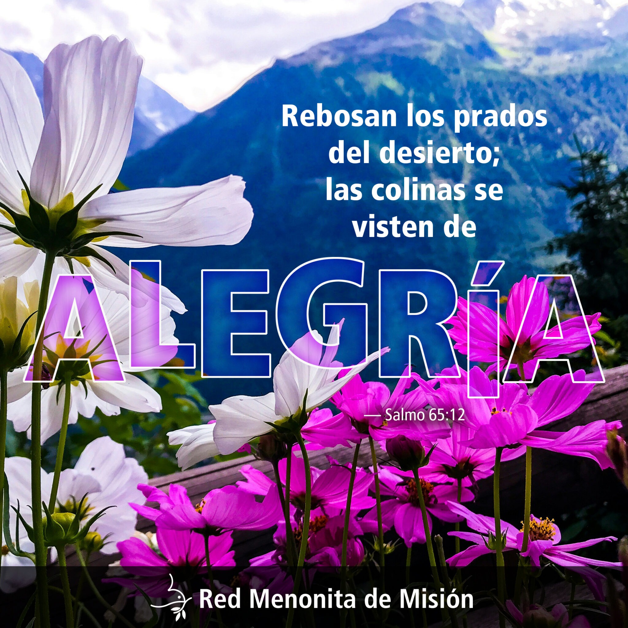 Alegría - Mennonite Mission Network